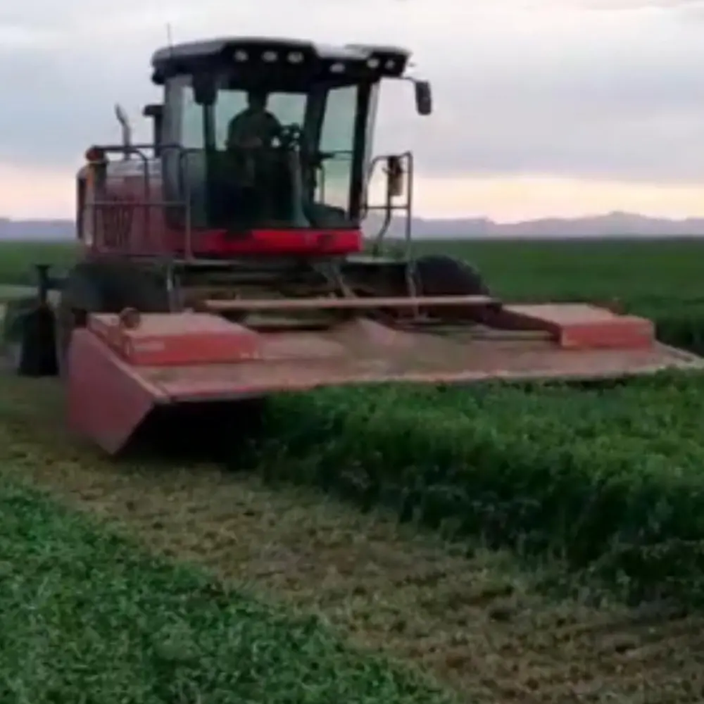 Alitron Plus – Mejorador de Suelos