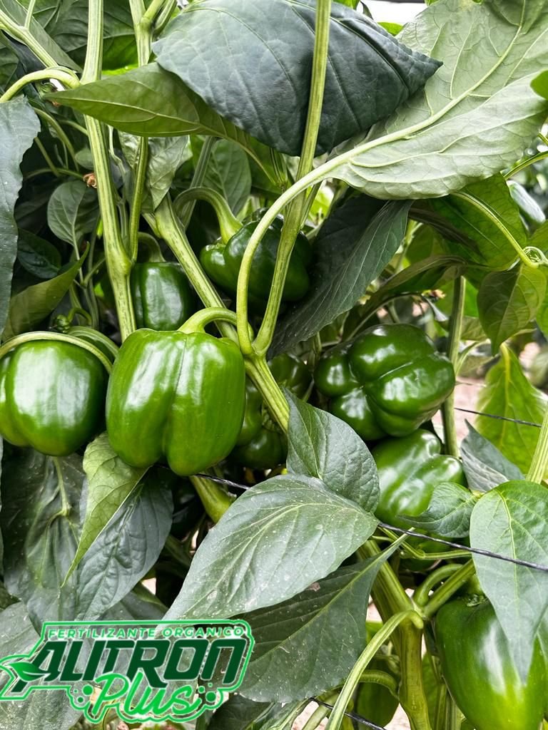 Mejorador de Suelos Alitron Plus - Alitron Plus